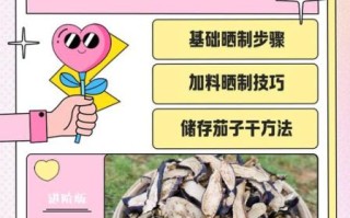 茄子干怎么做_茄子干怎么晒不干