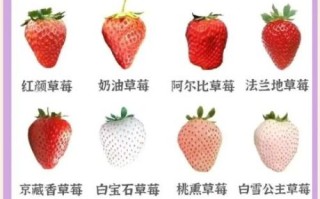 草莓什么季节成熟_草莓几月份可以摘