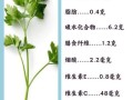 香菜对肾脏有好处吗_香菜补肾还是伤肾