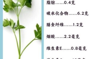 香菜对肾脏有好处吗_香菜补肾还是伤肾