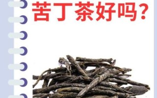 苦丁茶副作用_哪些人不能喝