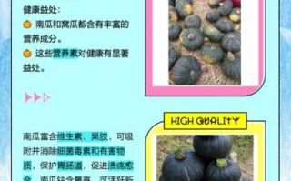 倭瓜是南瓜吗_倭瓜和南瓜的区别