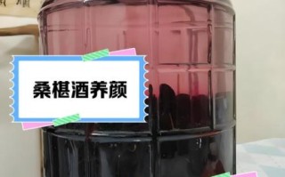 桑椹泡酒喝有什么作用_桑椹泡酒的功效与禁忌