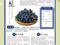 女人喝黑枸杞的好处有哪些_长期喝黑枸杞会不会上火