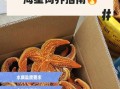 海星怎么养_海星能活多久
