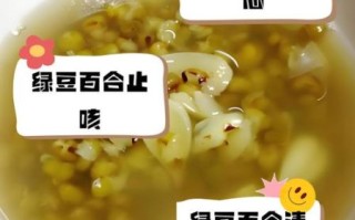 绿豆百合粥的做法_绿豆百合粥的功效与禁忌