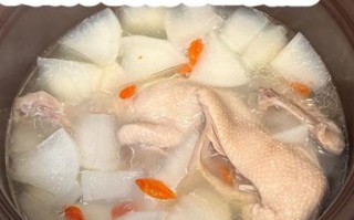 滋补老鸭汤的做法_老鸭汤怎么炖才营养