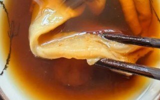 花胶怎么泡发_花胶炖多久才软糯