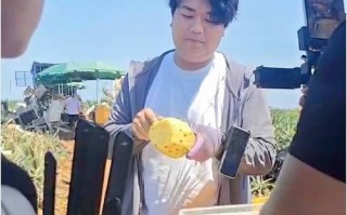 菠萝直播间怎么赚钱_菠萝直播间入驻条件