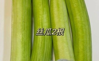 清炒丝瓜怎么炒不黑_丝瓜炒出来发黑怎么办