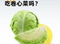 狗能吃大头菜吗_狗吃大头菜安全吗