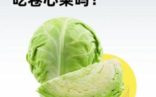 狗能吃大头菜吗_狗吃大头菜安全吗