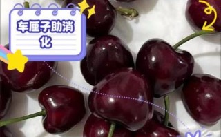 车厘子的营养价值及功效与作用_车厘子吃多了会上火吗