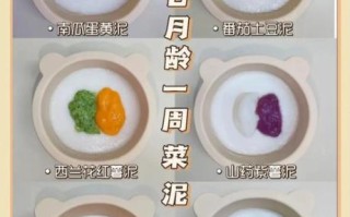 蔬菜泥怎么做_宝宝辅食蔬菜泥做法