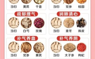 当归和什么搭配最佳_当归补血经典组合