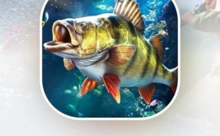 钓鱼游戏怎么玩_钓鱼游戏哪个平台好玩