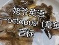 章鱼英语怎么读音_章鱼英语发音技巧