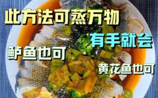 黑鱼怎么做好吃_黑鱼的做法大全家常菜视频教程