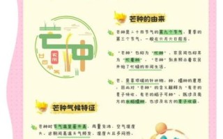 芒种节气吃什么_芒种养生要注意什么