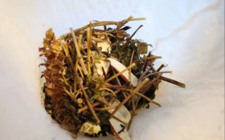 龟苓膏怎么熬制_龟苓膏配方比例