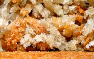 肉松是垃圾食品吗_肉松营养价值高吗