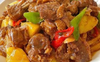 鹅肉怎么做好吃_鹅肉最香的做法