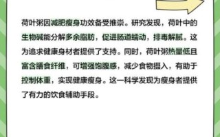 荷叶粥的做法和功效_荷叶粥能减肥吗