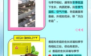 冬菇是什么菇_冬菇和香菇的区别