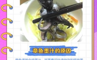 八爪鱼的墨汁能吃吗_八爪鱼墨汁安全食用指南