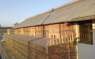 鸽子养殖大棚怎么建_鸽子养殖大棚多少钱