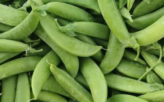 豌豆荚怎么炒好吃_豌豆荚的家常做法大全