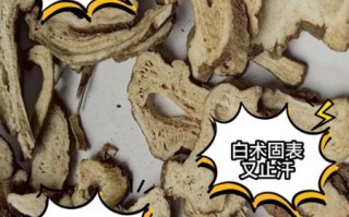 白术的副作用有哪些_白术吃了会上火吗