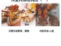 河蟹养殖技术_河蟹养殖常见问题