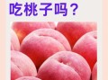孕妇晚期可以吃桃子吗_桃子对胎儿影响