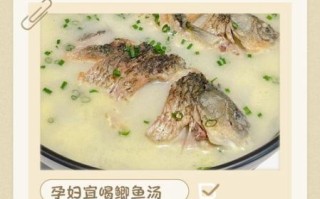 孕妇可以喝鲫鱼汤吗_鲫鱼汤对孕妇有什么好处