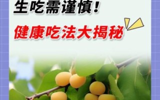 银杏果生吃有什么好处_生吃银杏果能直接吸收哪些营养