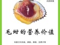 毛蛤蜊的营养价值_毛蛤蜊有哪些营养成分