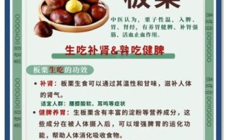 吃板栗的好处和坏处_吃板栗会上火吗