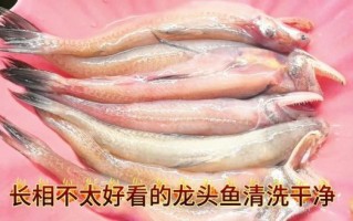 龙头鱼怎么做好吃_龙头鱼清蒸还是红烧