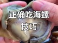 海螺哪里不能吃_海螺内脏图解