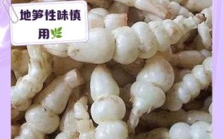 地笋怎么吃_地笋的做法大全