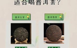 普洱茶的功效与作用及禁忌_普洱熟茶和生茶的区别