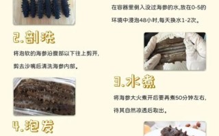 海参怎么泡发变大_海参泡发多久才最大