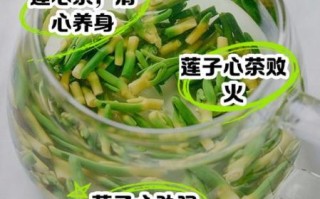 新鲜莲子心泡水喝的功效_莲子心泡水一次放几粒