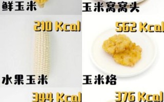 玉米热量多少大卡_一根玉米热量是多少