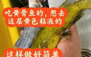 黄骨鱼外面一层黄要不要去掉_怎么处理最干净