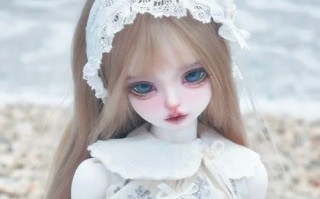 bjd娃娃怎么保养_bjd娃娃价格为什么差这么多