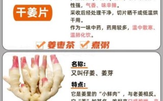 生姜的功效与作用_生姜的副作用有哪些