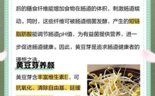 黄豆芽的营养价值_黄豆芽的功效与作用