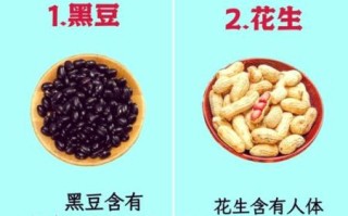 学生补脑吃什么最好_提高记忆力的食物有哪些 学生补脑吃什么最好_提高记忆力的食物有哪些